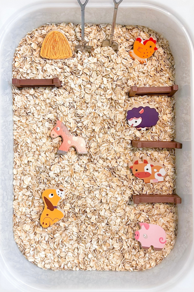 Farm Animal Sensory Bin - wetherodriguez.com