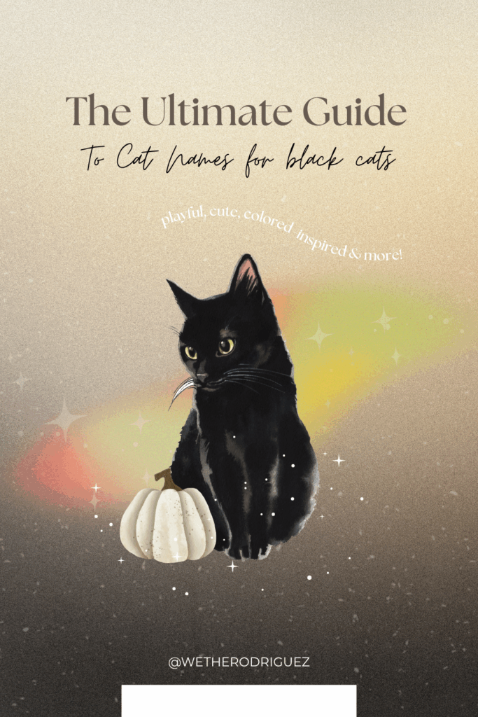 The Ultimate Guide to Cat Names for Black Cats - wetherodriguez.com